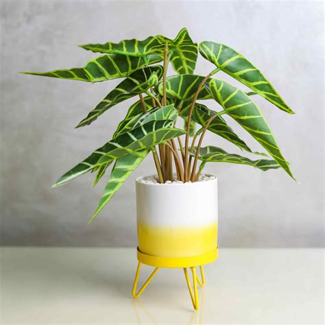 Furniture Of Egypt نبات صناعي