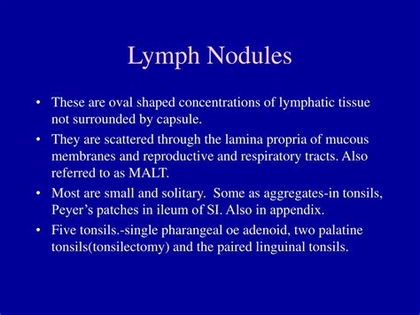 PPT Lymphatic System PowerPoint Presentation Free Download ID