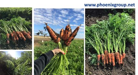 Viktoria Lugina Posted On Linkedin