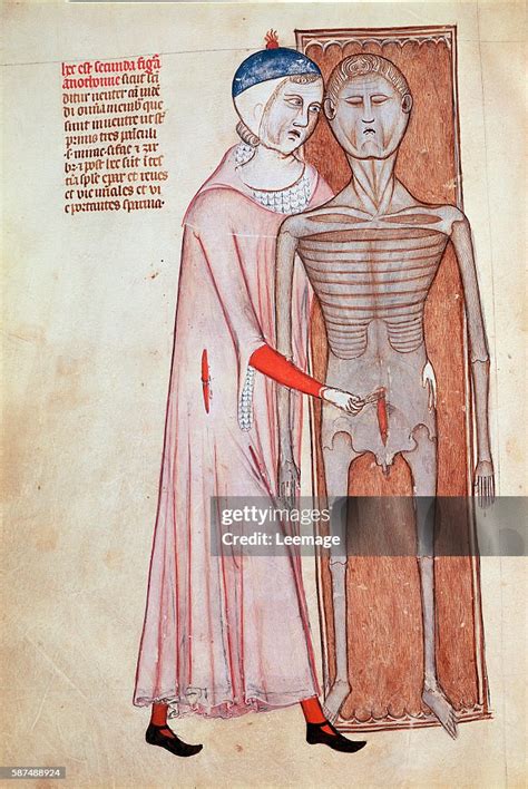 Surgery Dissection From The Abdomen Of A Cadaver Illuminated News Photo Getty Images