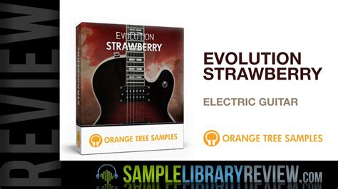 Review Evolution Strawberry Kontakt Player Edition Electric Guitar From