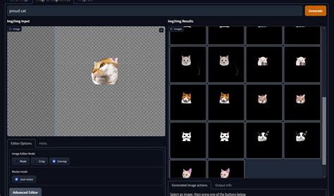 Uncrop Can Anyone Explain · Sygil Dev Sygil Webui · Discussion 416 · Github