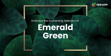 Emerald Green Color Background