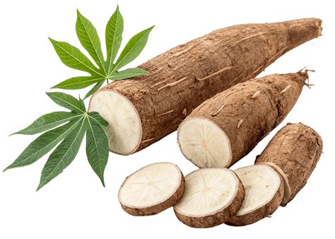 Cassava Root