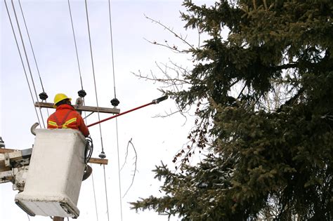 Up Electrical Safety While Trimming Trees Spanish BHHC Safety Center