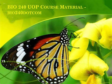 Ppt Bio 240 Uop Course Material Bio240dotcom Powerpoint