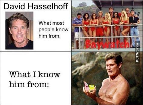David Hasselhoff Funny Monkeys Funny Funny Memes