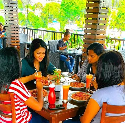 Treelab Kandy The Whizz With Tree Lab