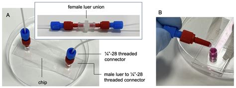 Microfluidic Cell Perfusion With A Syringe Pump Microfluidics