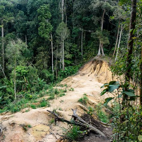 Hiking The Cameron Highlands Trail 10 All You Need To Know
