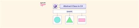 Abstract Class In C With Method And Examples Scaler Topics