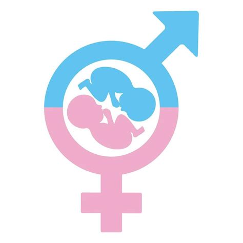 Pink And Blue Female And Male Gender Symbols 36476297 Vector Art At