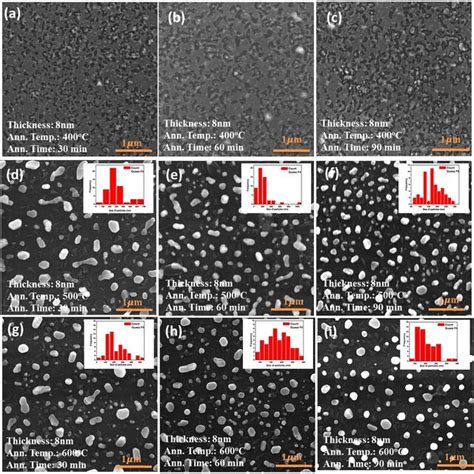 Fe Sem Micrographs Of 5 Nm Thick Au Film Annealed For Different Time Download Scientific