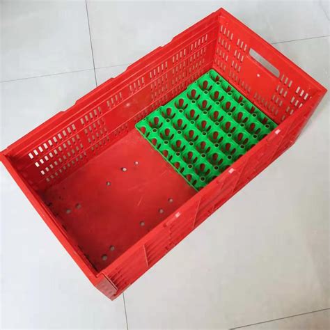 Foldable Plastic Chicken Egg Crate Egg Transportation Box 30 Hole