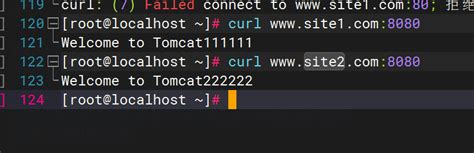 Tomcat虚拟主机配置详解：centos环境下多域名部署详细教程！tomcat Dns Csdn博客