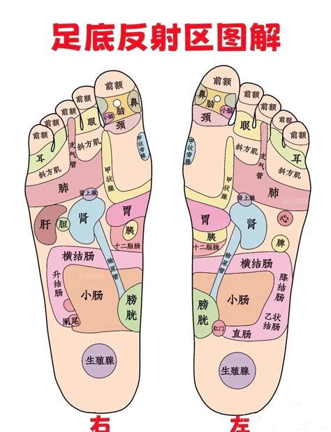 20个让你惊叹的脚底穴位秘密