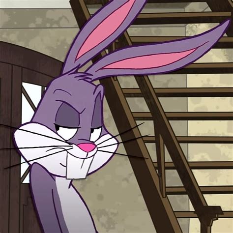 Bugs Bunny Looney Tunes Show Looney Tunes Bugs Bunny Looney Tunes