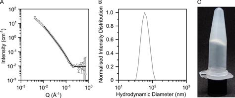 Figure 5 From Design Of Lipid Based Nanocarriers Via Cation Modulation