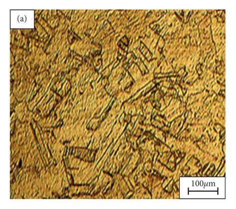 A Microstructure Of The Base Copper Material B D Copper Copper Download Scientific Diagram