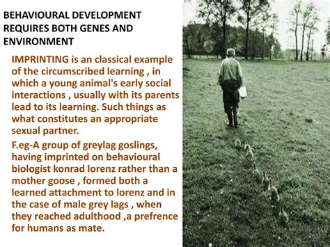 Behavioural Geneticspptx Sid Pptx