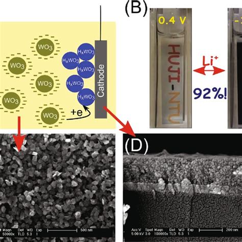 Scheme Of Indirect Ph Induced Deposition Of Nanoparticles Left Sem