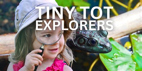 Tiny Tot Explorers Ages 0 5 At The Reptarium Annex