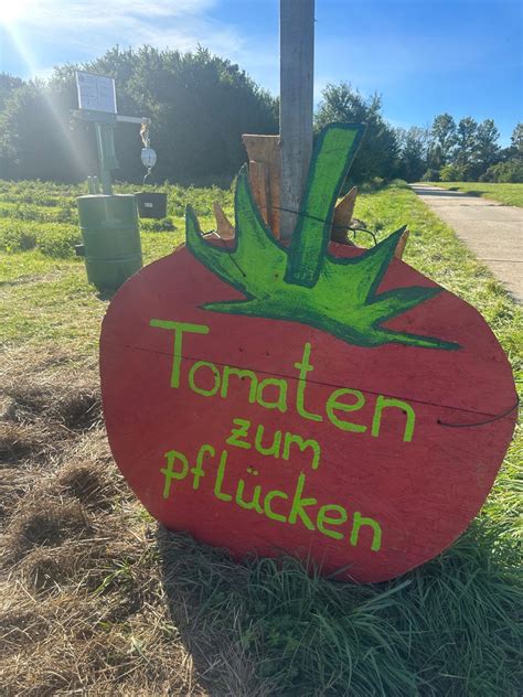 Sayed Rahim Mosavi Auf Linkedin Deutschland Transparency