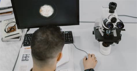 What Does Response Mean In Science Answeringanything