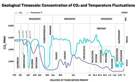 Pure Junk Science Researchers Challenge Narrative On Co2 And Warming