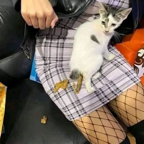 Meme God Mcfly Instagram