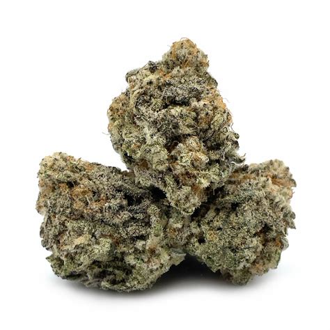 Mac 10 Buy Online In Canada Pacific Grass