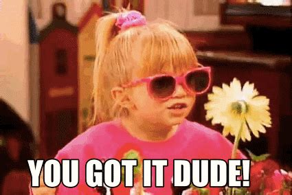 You Got It Dude Full House Michelle Tanner  Find On Er