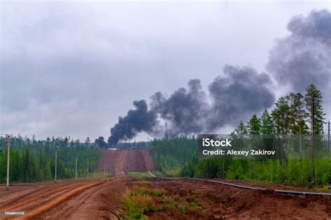 숲 화재 불법 화상 거부 유독 연기 화재 및 연기 독성 연기의 구름 숲과 발전소를 통해 연기 대기 오염 가솔린에 대한 스톡 사진 및 기타 이미지 Istock