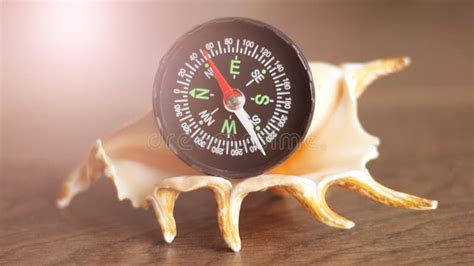 Seashell And Compass Beautiful Sea Composition With Shells And Vintage
