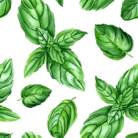 Premium Photo Watercolor Seamless Pattern With Basil Herb Botanical