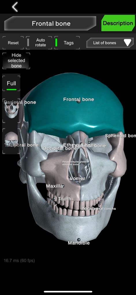 Bones 3d Anatomy 교육 앱 Mwm