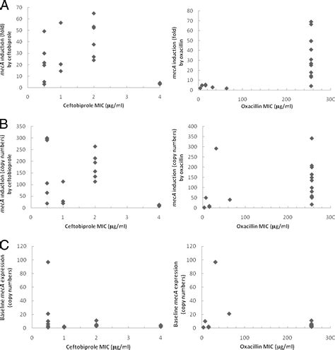 Effects Of Ceftobiprole And Oxacillin On Meca Expression In Methicillin