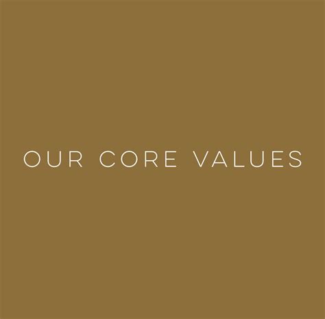 Organisation Core Values The Initiative