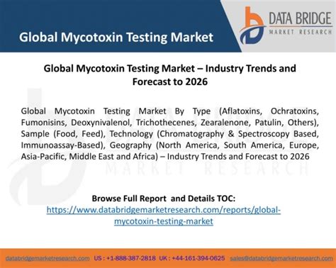 Ppt 2022 Mycotoxin Testing Industry Global Analysis Report Powerpoint