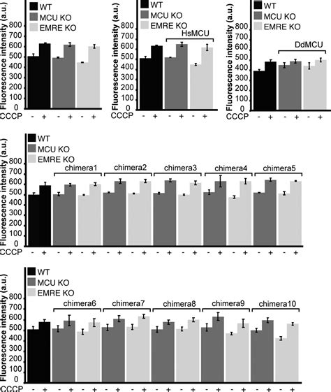 Evolutionary Divergence Reveals The Molecular Basis Of Emre Dependence