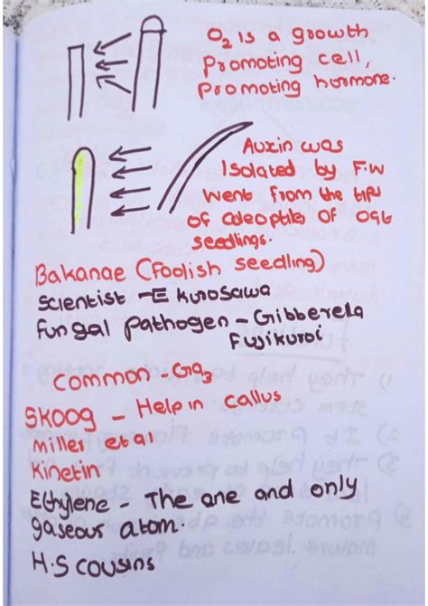 Solution Plant Growth Regulators Plusone Botany Handwritten Notes
