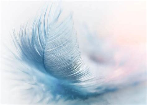 有一种性幻想，叫 强奸幻想”女性
