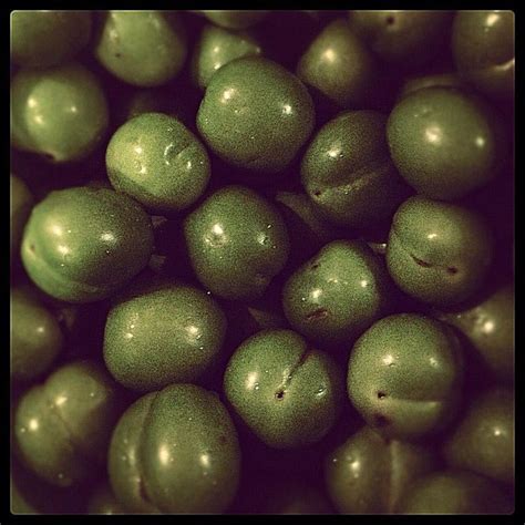 Love Of My Life Alucha Fruit Lime Delicious