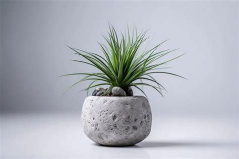 Soling Bilder Bläddra Bland 574 744 Stockfoton Vektorer Och Videor Adobe Stock