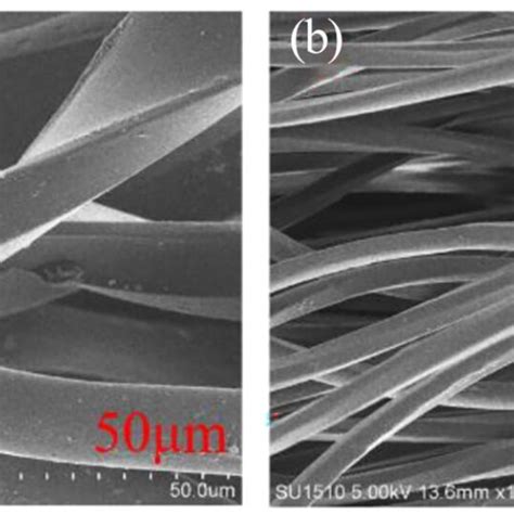 Yarn Electron Microscope A 50d 14f Polyester Dty And B 75d 288f Download Scientific