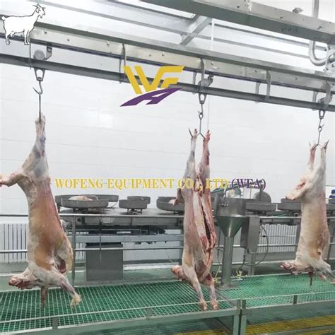 Halal Sheep Abattoir Machines Mutton Slaughtering Line Equipment Meat