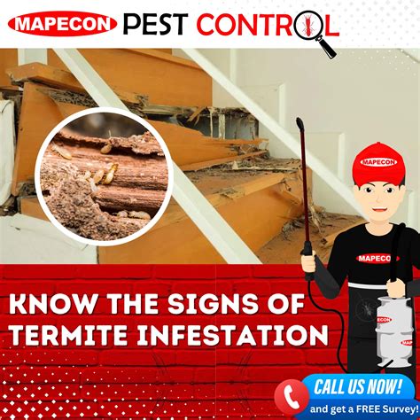 Mapecon 𝐊𝐧𝐨𝐰 𝐭𝐡𝐞 𝐒𝐢𝐠𝐧𝐬 𝐨𝐟 𝐚 𝐓𝐞𝐫𝐦𝐢𝐭𝐞 𝐈𝐧𝐟𝐞𝐬𝐭𝐚𝐭𝐢𝐨𝐧 Protect Your Home