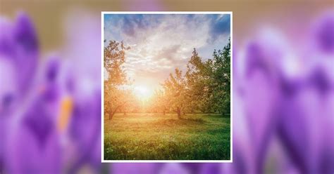 Altha J Shufelt Obituary September 14 2025 New Comer Albany