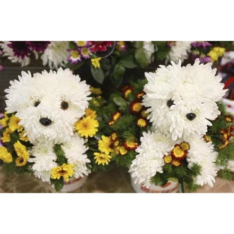 Floral Dogs Puppy Flowers Dog Flower Creative Flower Arrangements