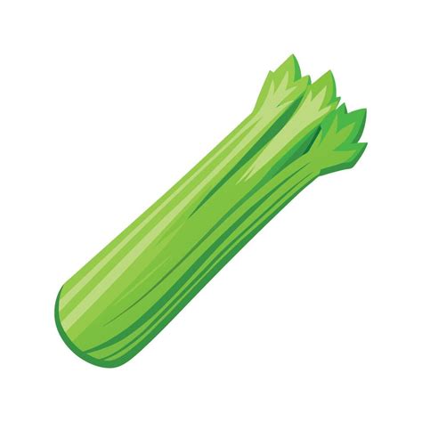 Celery Stick With Crisp Edges Illustration 57240358 Vector Art At Vecteezy
